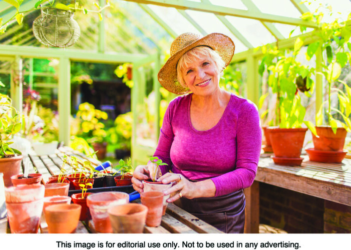 Senior News | News, Sports, Jobs - Post Journal